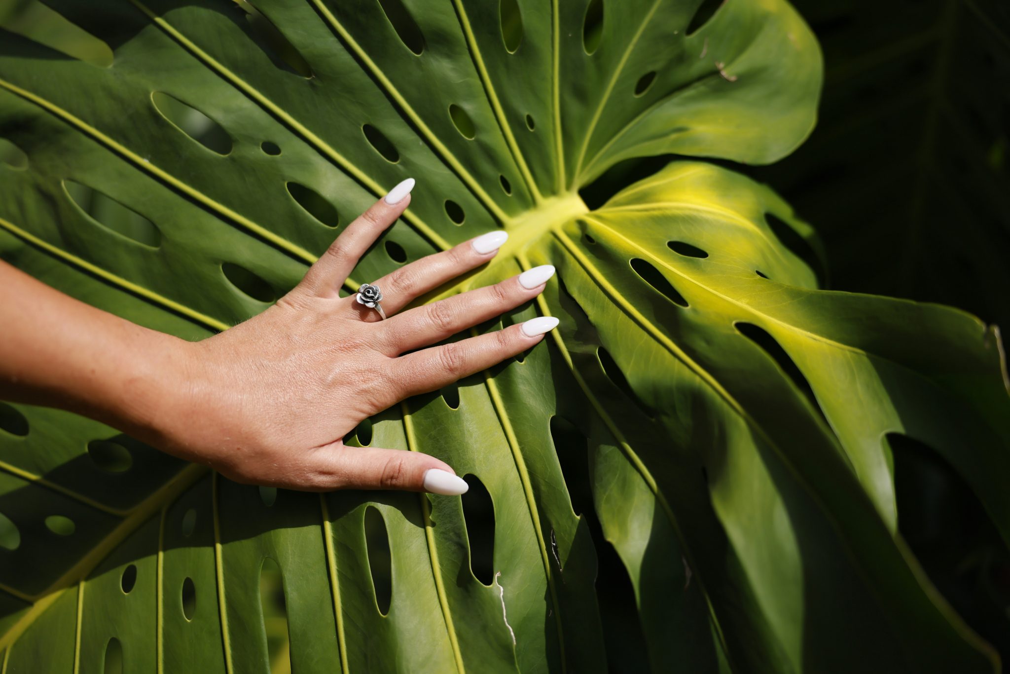 The Fairy Nails Christchurch – Manicures, Pedicures & More